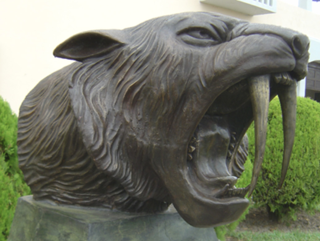 El tigre dientes de sable que llegó para quedarse: Simolodon fatalis ...