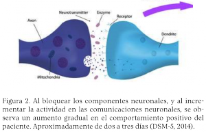 Mecanismos de acción de los fármacos antidepresivos – Ciencia UANL