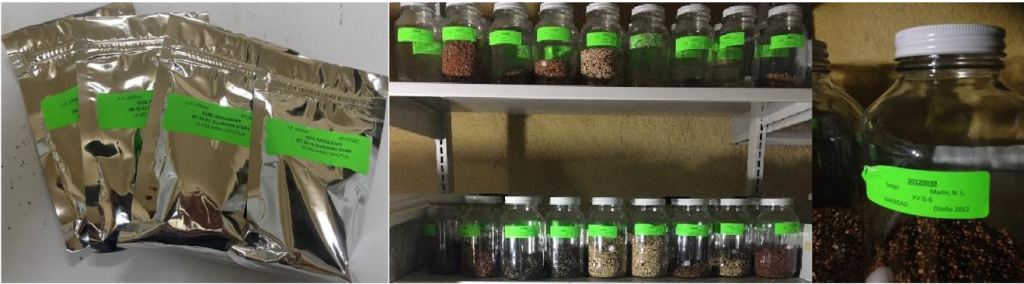 El Banco de Germoplasma de la Facultad de Agronomía UANL, como ...