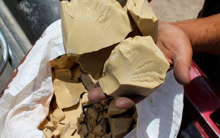 Candelilla (Euphorbia antisyphilitica Zucc.), aprovechamiento ...