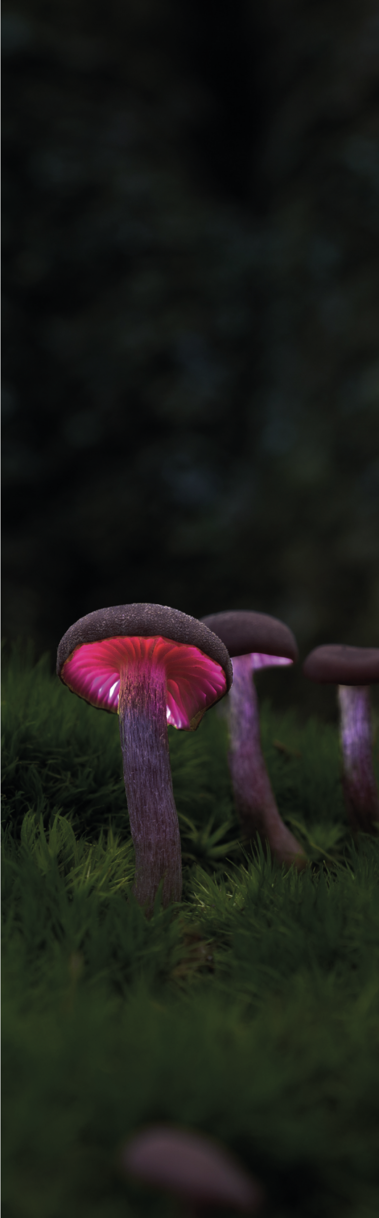 LOS COMPUESTOS QUÍMICOS Y LOS SERES VIVOS: ¿CÓMO SE ORIGINA LA ...