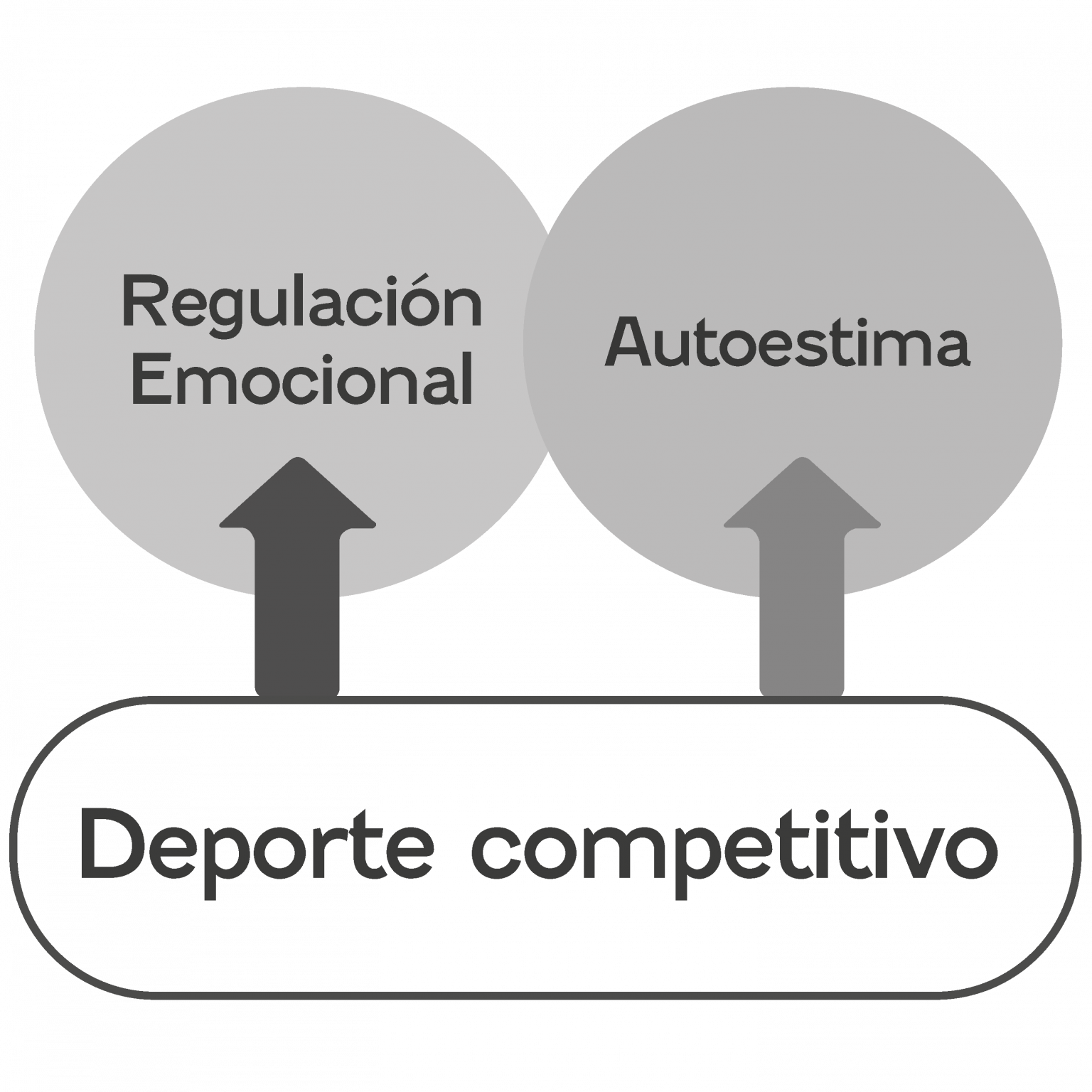 Mujeres universitarias deporte y emociones – Ciencia UANL