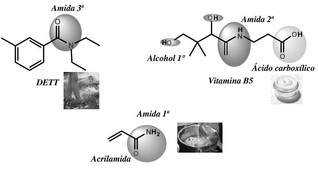 Los grupos funcionales en nuestra vida diaria – Ciencia UANL