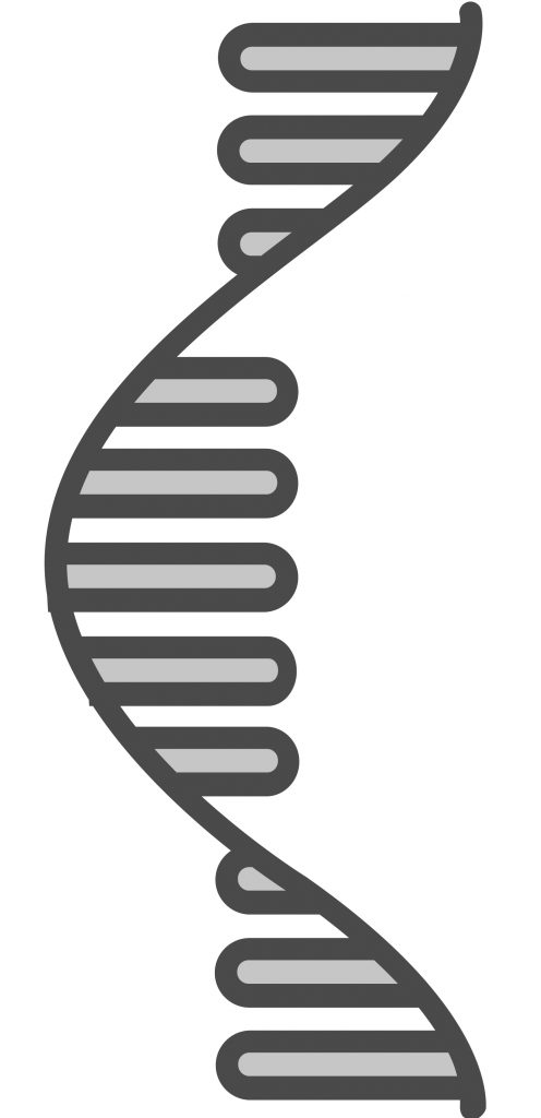 Un giro en la Biología: explorando los ARNs circulares y su impacto ...