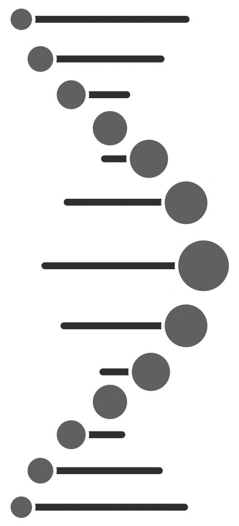 Un giro en la Biología: explorando los ARNs circulares y su impacto ...