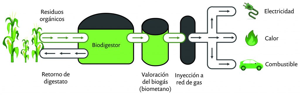 Biocombustibles gaseosos mediante digestión anaerobia, una alternativa para la demanda ...