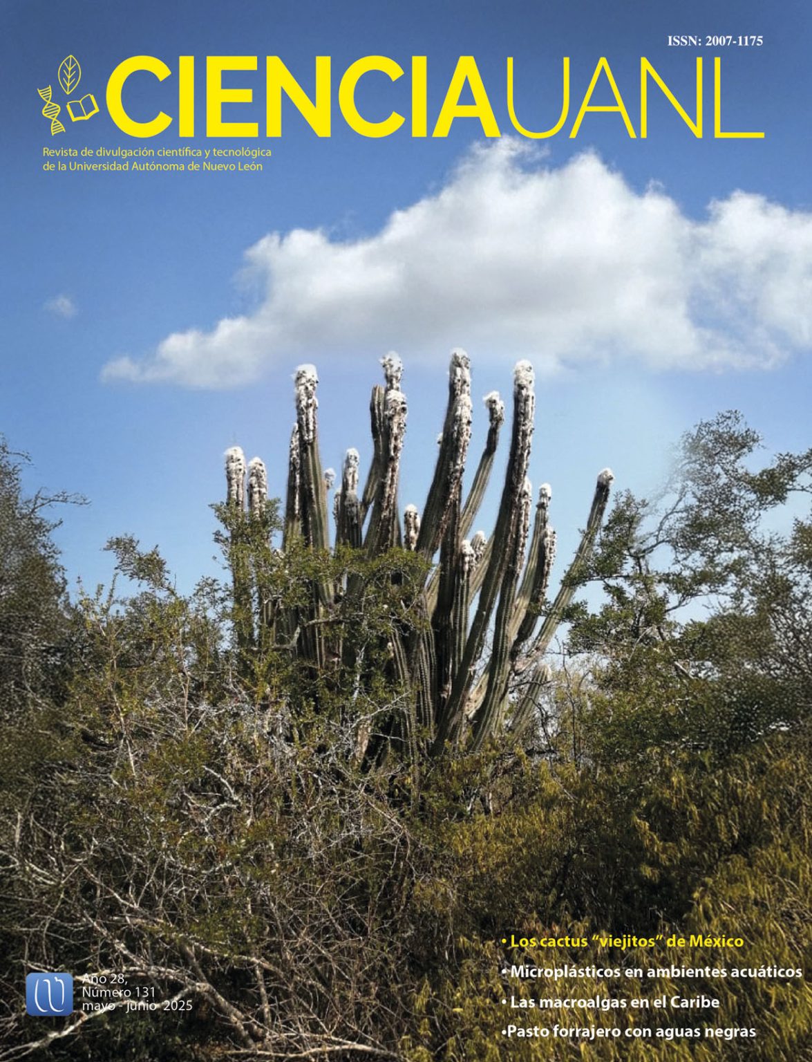 Pars planitis: una patología ocular que debe informarse – Ciencia UANL