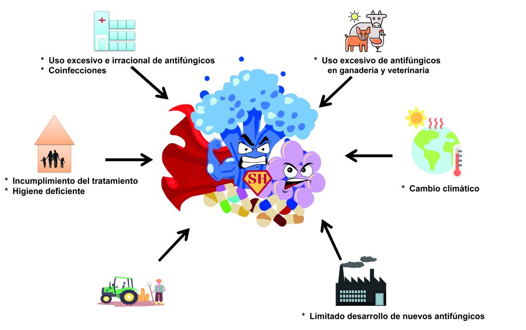 Super hongos: una amenaza para la salud humana – Ciencia UANL